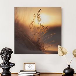 Bilderwelten Leinwandbild Strand Motiv Kunstdruck beige - Zarte Gr&auml;ser im Sonnenaufgang - Wandbild XXL Wohnzimmer Schlafzimmer