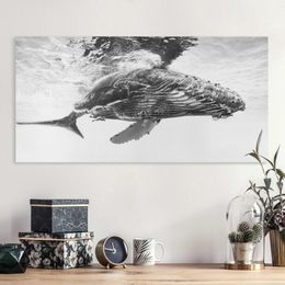 Bilderwelten Leinwandbild Strand Motiv Kunstdruck schwarz weiss - Wal auf Reisen Schwarz-Wei&szlig; - Wandbild XXL Wohnzimmer Schlafzimmer