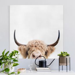 Bilderwelten Leinwandbild Tiere Landhaus Kunstdruck weiss - Verstecktes Hochlandrind - Wandbild XXL Wohnzimmer Schlafzimmer