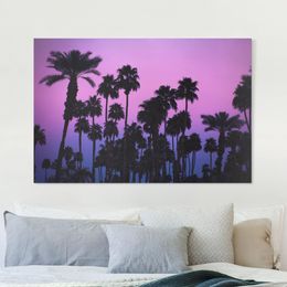 Bilderwelten Leinwandbild Natur Tropisch Kunstdruck pink - Tropischer Pinker Sonnenuntergang - Sonnenuntergang XXL Wohnzimmer Schlafzimmer
