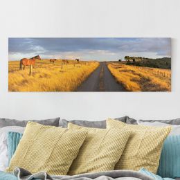 Bilderwelten Leinwandbild - Panorama Feldstra&szlig;e und Pferde bei Abendsonne