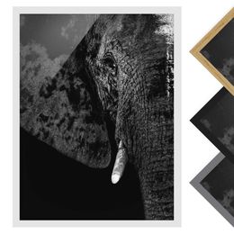 Bilderwelten Bild mit Rahmen - Hochformat Afrikanischer Elefant schwarz-wei&szlig;