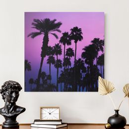 Bilderwelten Leinwandbild Tropischer Pinker Sonnenuntergang