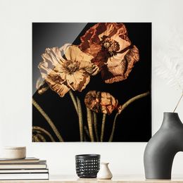 Bilderwelten Glasbild Dunkler Fr&uuml;hling