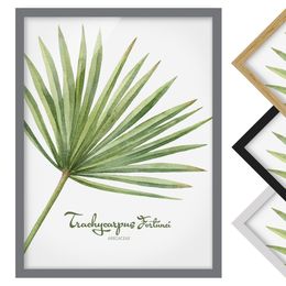 Bilderwelten Bild mit Rahmen - Hochformat Aquarell Botanik Trachycarpus fortunei