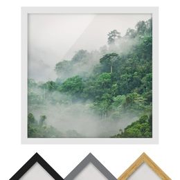 Bilderwelten Bild mit Rahmen - Quadrat Dschungel im Nebel