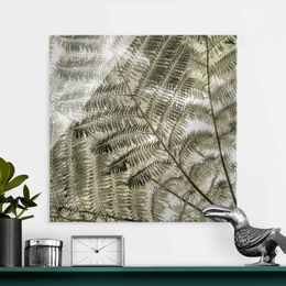 Bilderwelten Glasbild Motiv gr&uuml;n Glas Wandbild - Unterm Farn - Deko Wohnzimmer Schlafzimmer