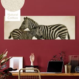 Bilderwelten Leinwandbild - Panorama Zebrapaar