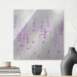 Bilderwelten Glasbild Blumen Landhaus violett Glas Wandbild - Sommer im Lavendelfeld - Deko Wohnzimmer Schlafzimmer