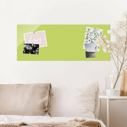 Bilderwelten Glasbild - Wandbilder aus Glas - Glasbilder inkl. Wandhalterung - Frühlingsgrün