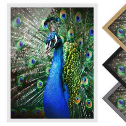 Bilderwelten Bild mit Rahmen Tiere blau Motiv inkl. Rahmung - Edler Pfau - V&ouml;gel Wohnzimmer Schlafzimmer