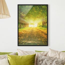 Bilderwelten Bild mit Rahmen - Hochformat Autumn Avenue
