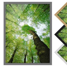 Bilderwelten Bild mit Rahmen - Hochformat B&auml;ume des Lebens
