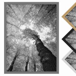 Bilderwelten Bild mit Rahmen - Hochformat B&auml;ume des Lebens II