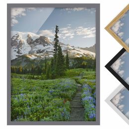 Bilderwelten Bild mit Rahmen - Hochformat Bergblick Wiesenpfad