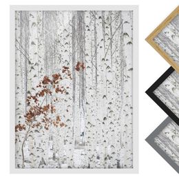 Bilderwelten Bild mit Rahmen - Hochformat Birken im Herbst