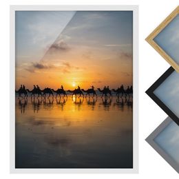Bilderwelten Bild mit Rahmen Tiere orange Motiv inkl. Rahmung - Kamele im Sonnenuntergang - Sonnenuntergang Wohnzimmer Schlafzimmer