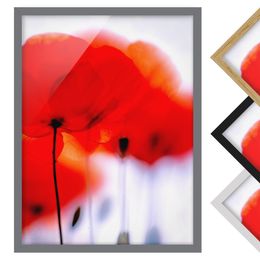 Bilderwelten Bild mit Rahmen - Hochformat Magic Poppies