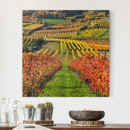 Bilderwelten Leinwandbild Natur Motiv Kunstdruck orange - Weinberg Blick - Landschaft XXL Wohnzimmer Schlafzimmer