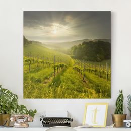 Bilderwelten Leinwandbild - Quadrat Sonnenstrahlen Weinberg