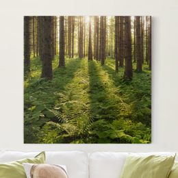 Bilderwelten Leinwandbild - Quadrat Sonnenstrahlen in gr&uuml;nem Wald