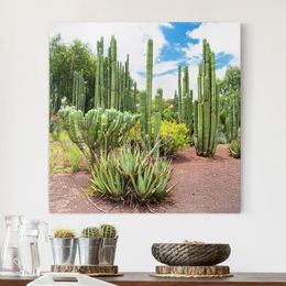 Bilderwelten Leinwandbild - Quadrat Kakteen Landschaft