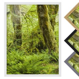 Bilderwelten Bild mit Rahmen - Hochformat Hall of Mosses Olympic National Park