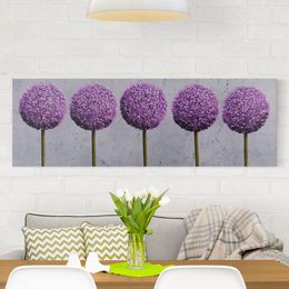 Bilderwelten Leinwandbild - Panorama Allium Kugel-Bl&uuml;ten