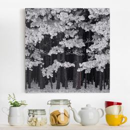 Bilderwelten Leinwandbild Wald modern Kunstdruck schwarz weiss - Wald mit Raureif in &Ouml;sterreich - B&auml;ume XXL Wohnzimmer Schlafzimmer