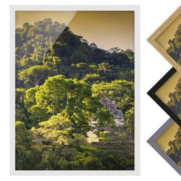 Bilderwelten Bild mit Rahmen Wald gr&uuml;n Motiv inkl. Rahmung - Maya Ruinen - B&auml;ume Wohnzimmer Schlafzimmer
