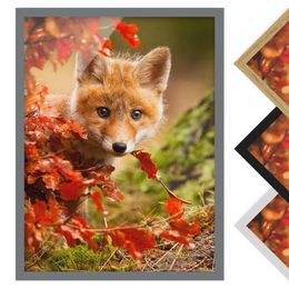 Bilderwelten Bild mit Rahmen - Hochformat Fuchs im Herbst