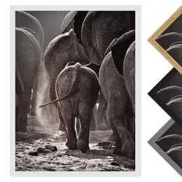 Bilderwelten Bild mit Rahmen Tiere grau Motiv inkl. Rahmung - Nach Hause gehen - Elefant Wohnzimmer Schlafzimmer