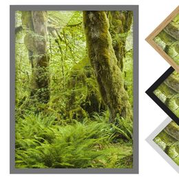Bilderwelten Bild mit Rahmen - Hochformat Hall of Mosses Olympic National Park