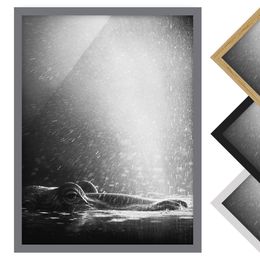 Bilderwelten Bild mit Rahmen - Hochformat Hippo bob up