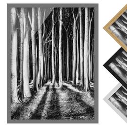 Bilderwelten Bild mit Rahmen - Hochformat Geisterwald
