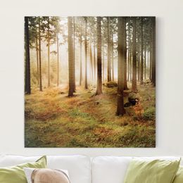 Bilderwelten Leinwandbild - Quadrat Morning Forest