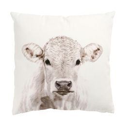 Bilderwelten Dekokissen grau Tiere Motiv - Wei&szlig;es Kalb - Bett Couch Sofakissen Bezug & F&uuml;llung in 40x40 50x50 60x60