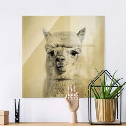 Bilderwelten Glasbild Tiere Motiv schwarz weiss Glas Wandbild - Alpaka Alfred Schwarz Wei&szlig; - Deko Kinderzimmer Baby M&auml;dchen Jungen