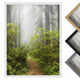 Bilderwelten Bild mit Rahmen - Hochformat Nebliger Waldpfad