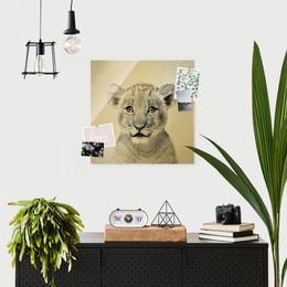 Bilderwelten Glasbild Tiere Motiv schwarz weiss Glas Wandbild - Baby L&ouml;we Luca Schwarz Wei&szlig; - L&ouml;we Kinderzimmer Baby M&auml;dchen Jungen