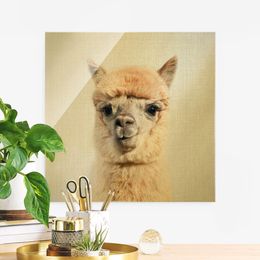 Bilderwelten Glasbild Tiere Motiv schwarz weiss Glas Wandbild - Alpaka Alfred - Deko Kinderzimmer Baby M&auml;dchen Jungen