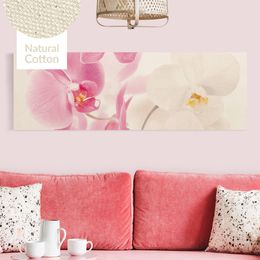 Bilderwelten Leinwandbild - Panorama Delicate Orchids