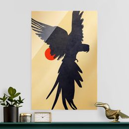 Bilderwelten Glasbild Tiere modern blau Glas Wandbild - Blauer Papagei vor roter Sonne - V&ouml;gel Wohnzimmer Schlafzimmer