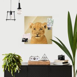 Bilderwelten Glasbild Tiere Motiv schwarz weiss Glas Wandbild - Baby L&ouml;we Luca - L&ouml;we Kinderzimmer Baby M&auml;dchen Jungen
