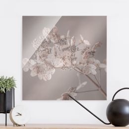 Bilderwelten Glasbild Blumen Landhaus beige Glas Wandbild - Zarte wei&szlig;e Hortensie - Deko Wohnzimmer Schlafzimmer