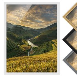 Bilderwelten Bild mit Rahmen - Hochformat Reisplantagen in Vietnam