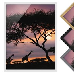 Bilderwelten Bild mit Rahmen - Hochformat Safari in Afrika
