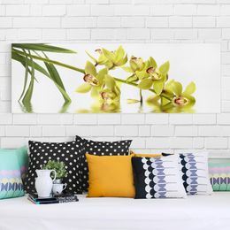 Bilderwelten Leinwandbild - Panorama Elegant Orchid Waters