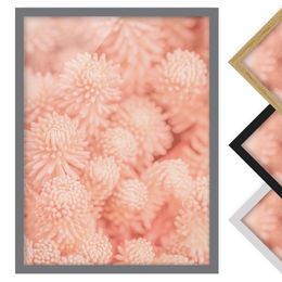 Bilderwelten Bild mit Rahmen - Hochformat Rosa Bl&uuml;tenzauber Sedum