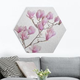 Bilderwelten Alu-Dibond Bild Hexagon Blumen rosa Motiv - Magnolienzweig - Deko Wohnzimmer Schlafzimmer